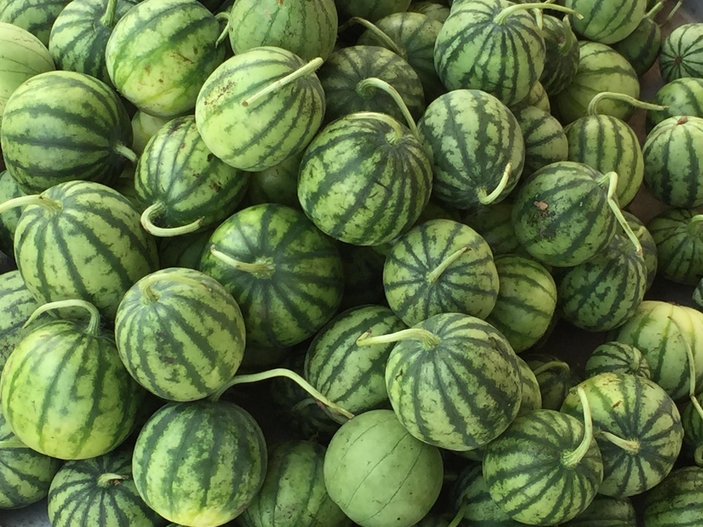 Delicious Healthy Springtime Food To Look Forward To - AllAroundJoe